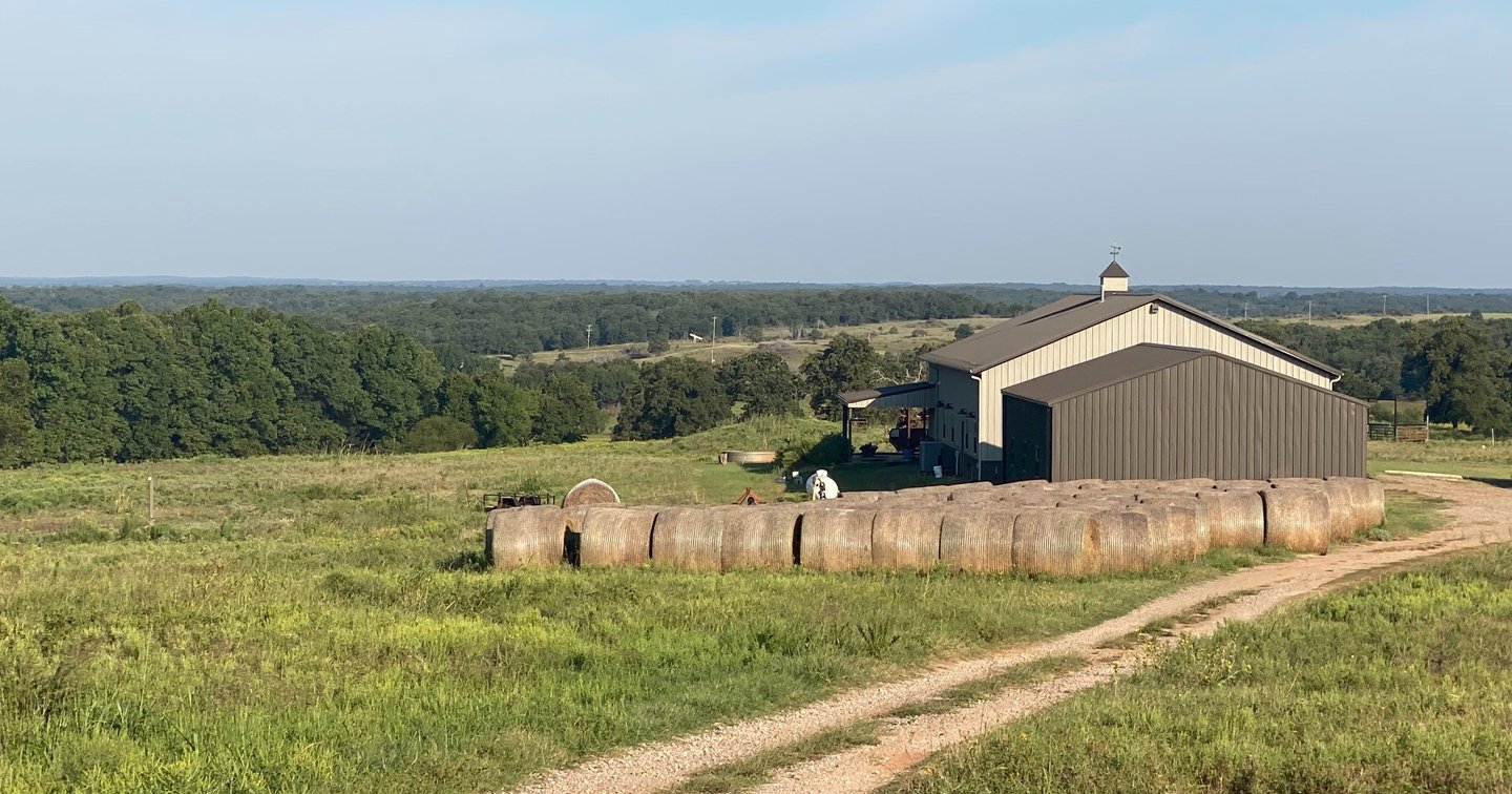 Grass-Finished Beef in OKC | Cold Springs Ranch | Cold Springs Ranch