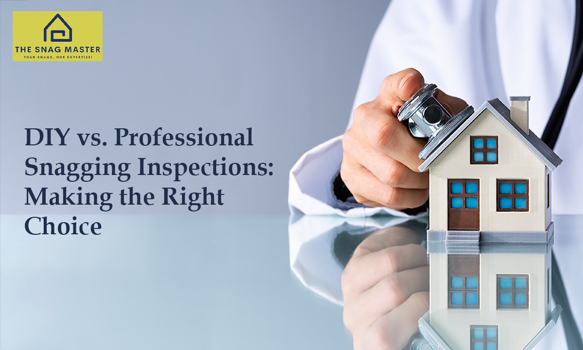 DIY vs. Professional Snagging Inspections: Making the Right Choice ...