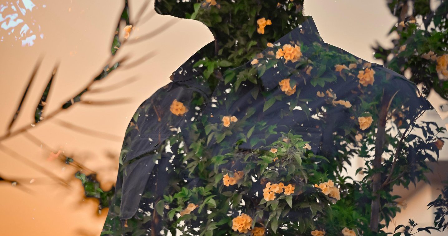 Principios De La Salud Holística Bienestar Cuerpo Mente Y Espíritu