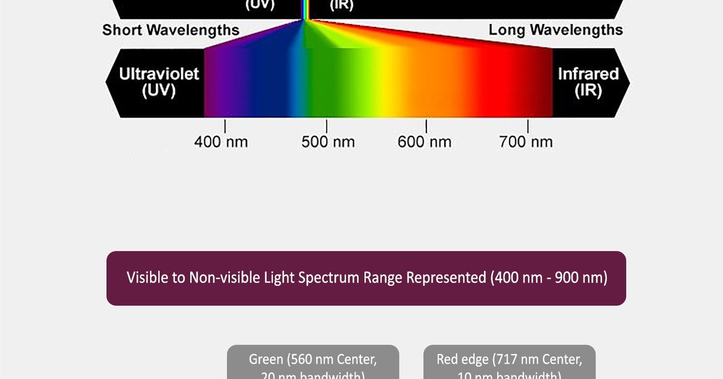 RGB and NIR Drone Camera Data: Applications and Use Cases | Kesowa