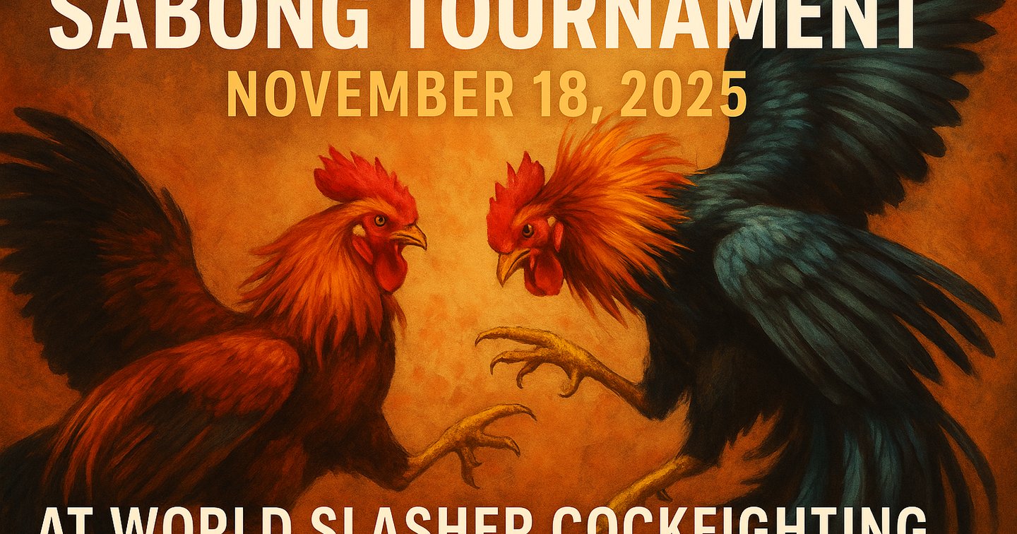Ultimate Derby Clash: Sabong Tournament Ignites Today – November 18 ...