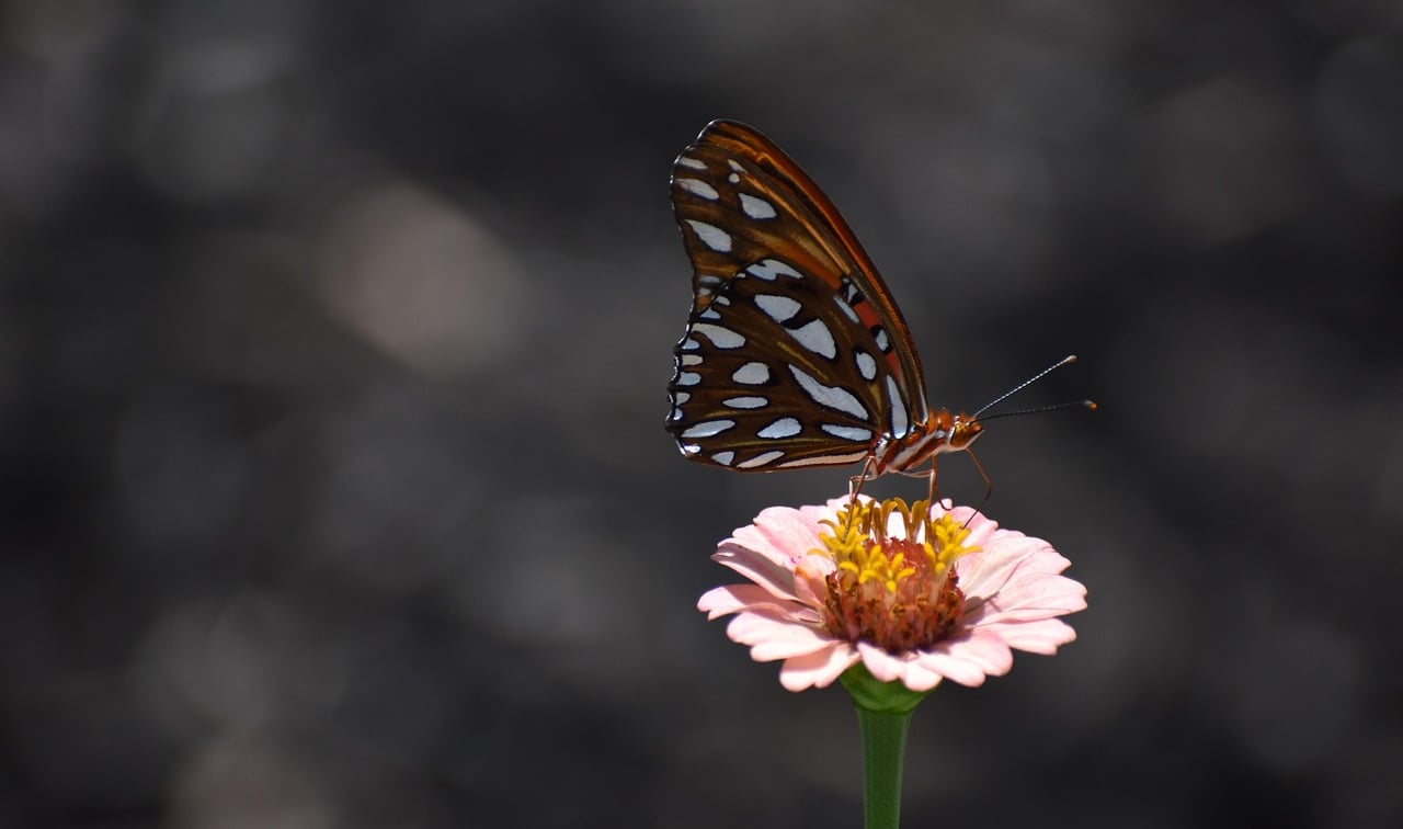 From Stuck to Sovereign: Releasing Creative Blocks with QEC | Quantum ...