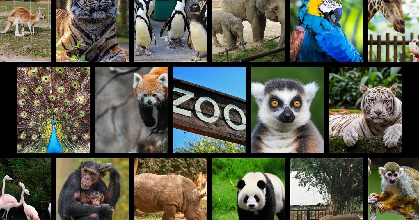 Washington State: Zoos, Drive-Through Safaris & Aquariums You’ll Love ...