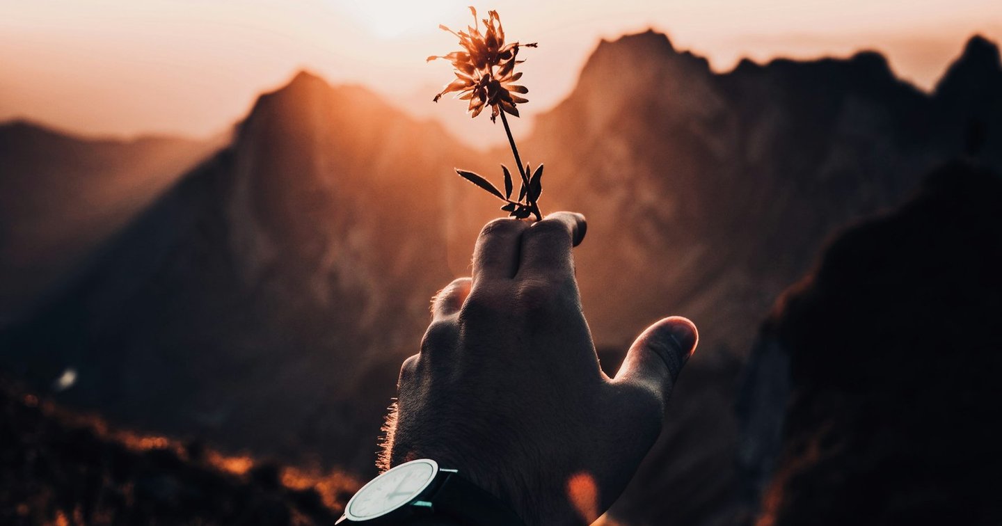 The Psychology of Photography: How to Evoke Emotion in Your Shots ...