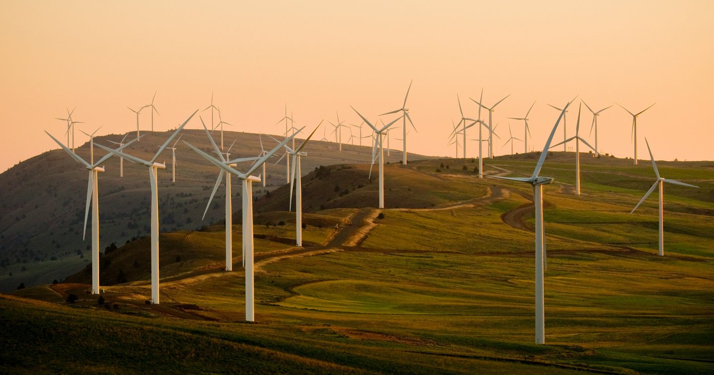 Green energy plans in Australia: Solar, wind and carbon neutral options ...