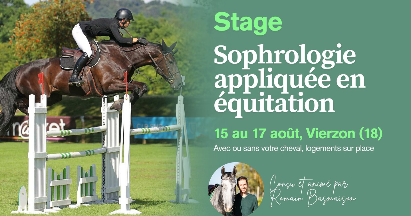 Stage immersif équitation & sophrologie | Romain Basmaison
