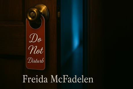 Do Not Disturb: psychological thriller by Freida McFadden | Chaifry