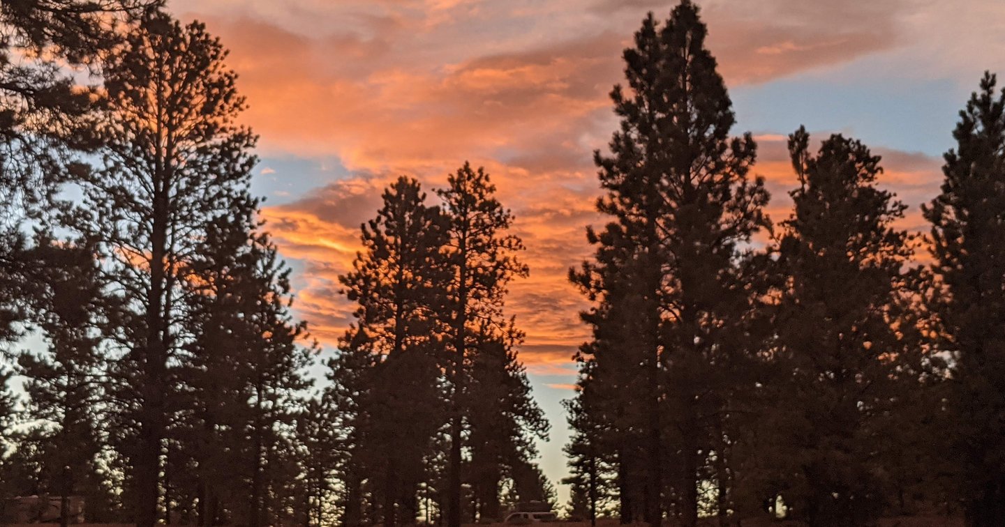 Best RV Must Haves & Products - Shop Now! | The Wandering Shores