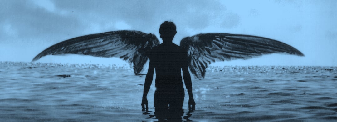 Who is Will Roscoe? Career and Writings Overview | Will Roscoe Queer History Culture Politics