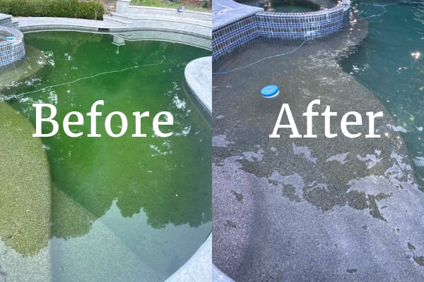 Help! My Pool is Green | Shipley Pool service