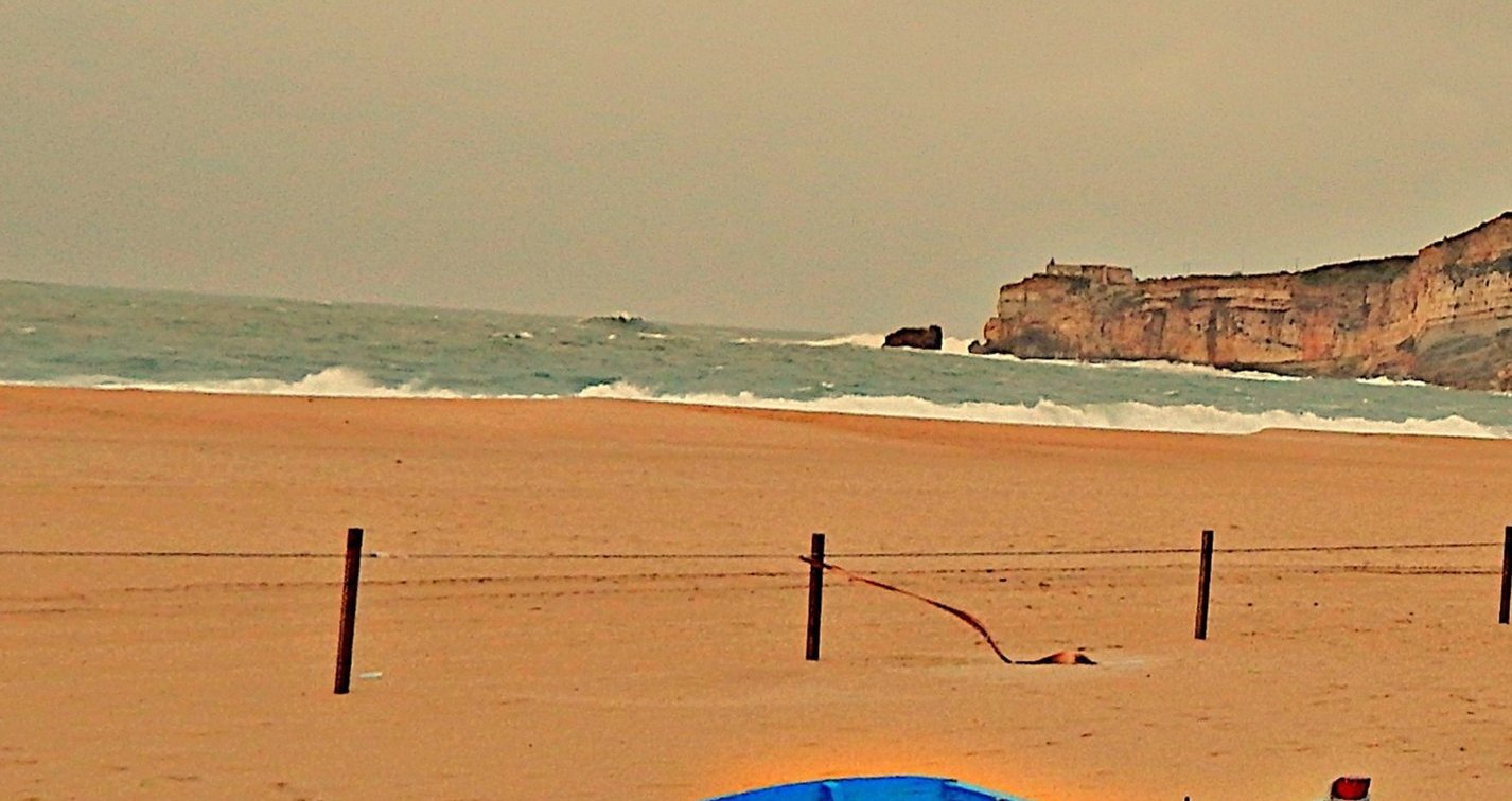 SEVENTY-SEVEN | Adelaide Literary Magazine