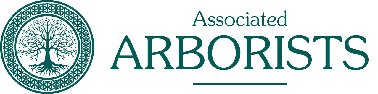 Tree Fungus - Find out about how & why it affects trees, plus is it all ...