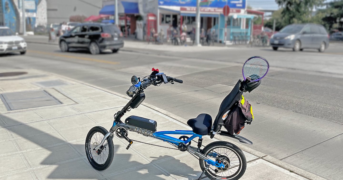 Best 2 Wheel Recumbent Bicycle: A Complete Buyer’s Guide for Comfort ...