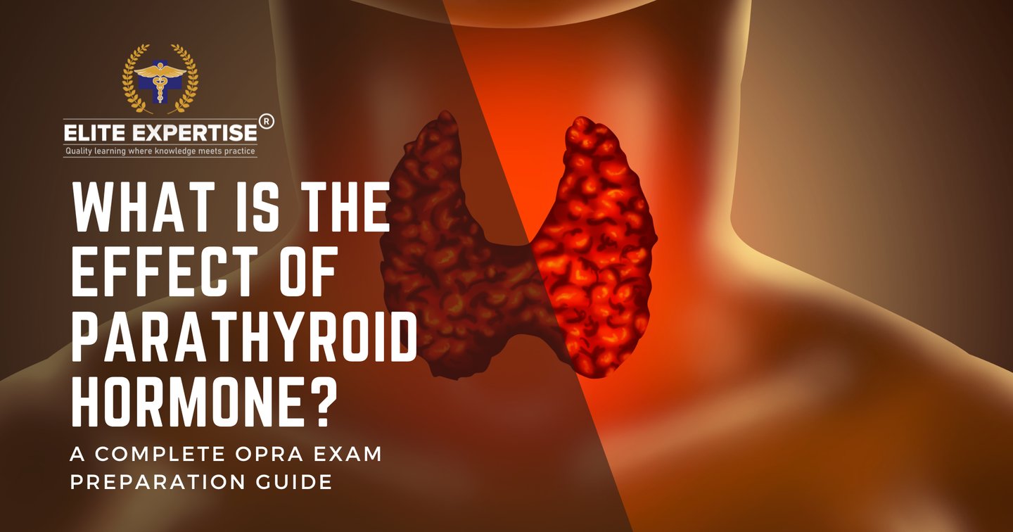 Effect of Parathyroid Hormone (PTH): Functions, Disorders & OPRA Exam ...