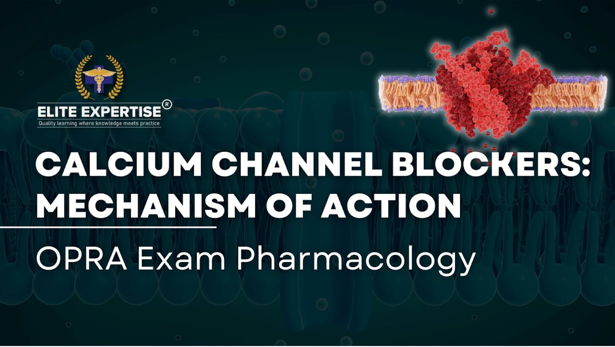 Calcium Channel Blockers (CCBs): Mechanism of Action in Pharmacology ...