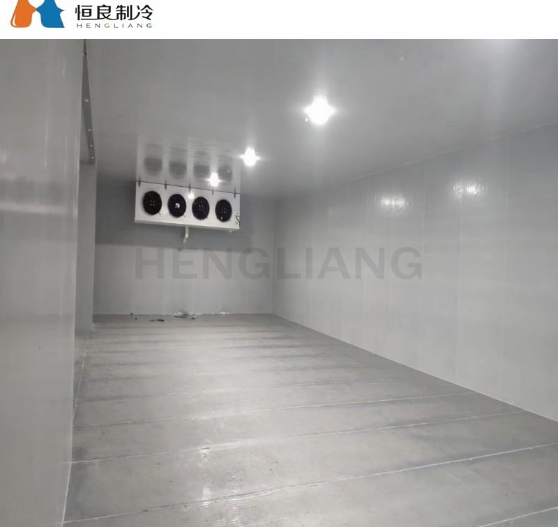 Cold Room Design Guide: How to Build a Cold Room for Commercial Storage ...