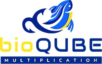 Magnetic Nanoparticles and Magnetic Stand | bioQUBE Biosolutions