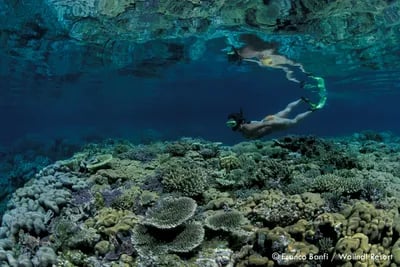 Explore Misima Island: Accessible by Plane | PNG FootPrint Tours Ltd