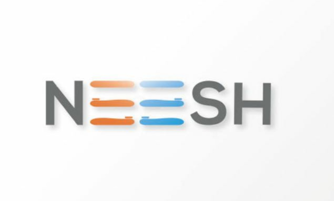 Technology Consulting Company | Martech & Data Science Experts | Neesh ...
