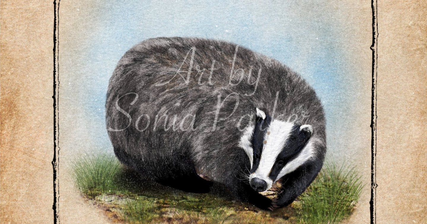 The Spiritual Meaning of Badger: Wisdom, Symbolism, and Freedom | The ...