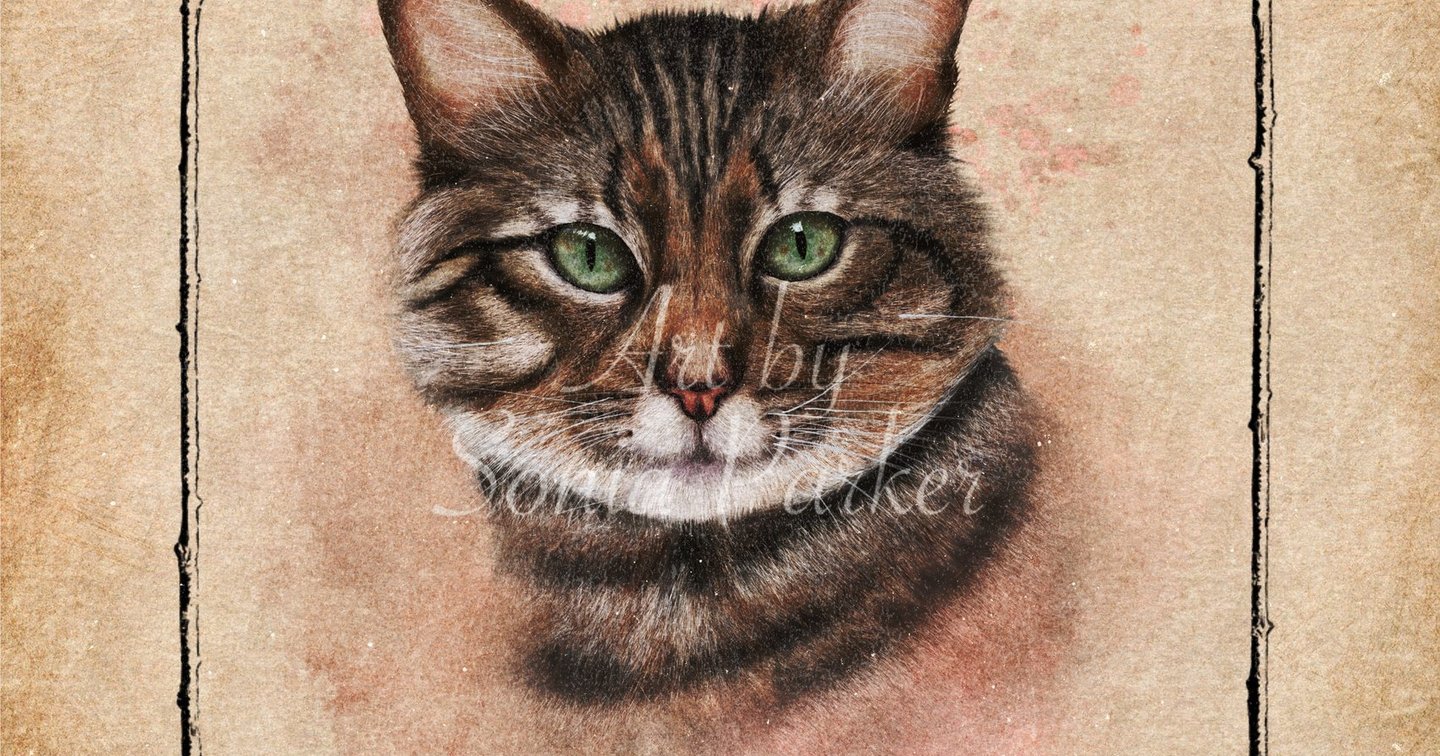 Spiritual Meaning of Cat: Adoration and the Allure of the Mysterious ...