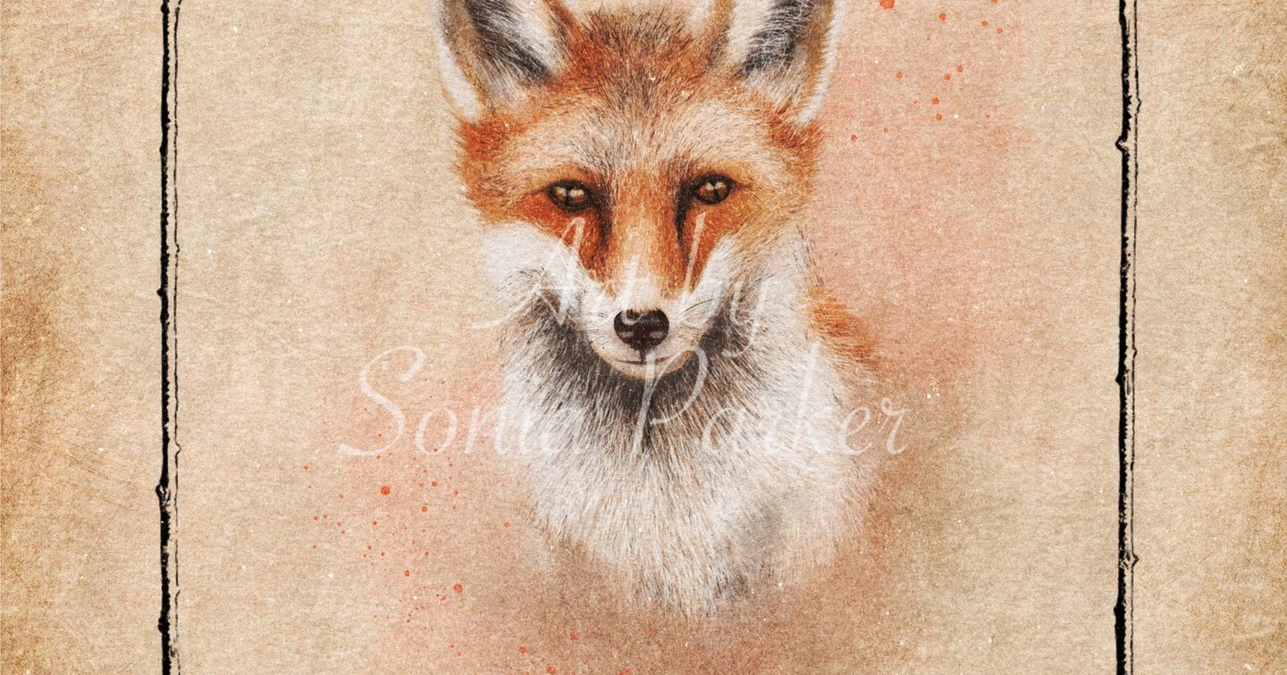 Fox: Symbolism and spiritual meaning | The Spiritual Centre