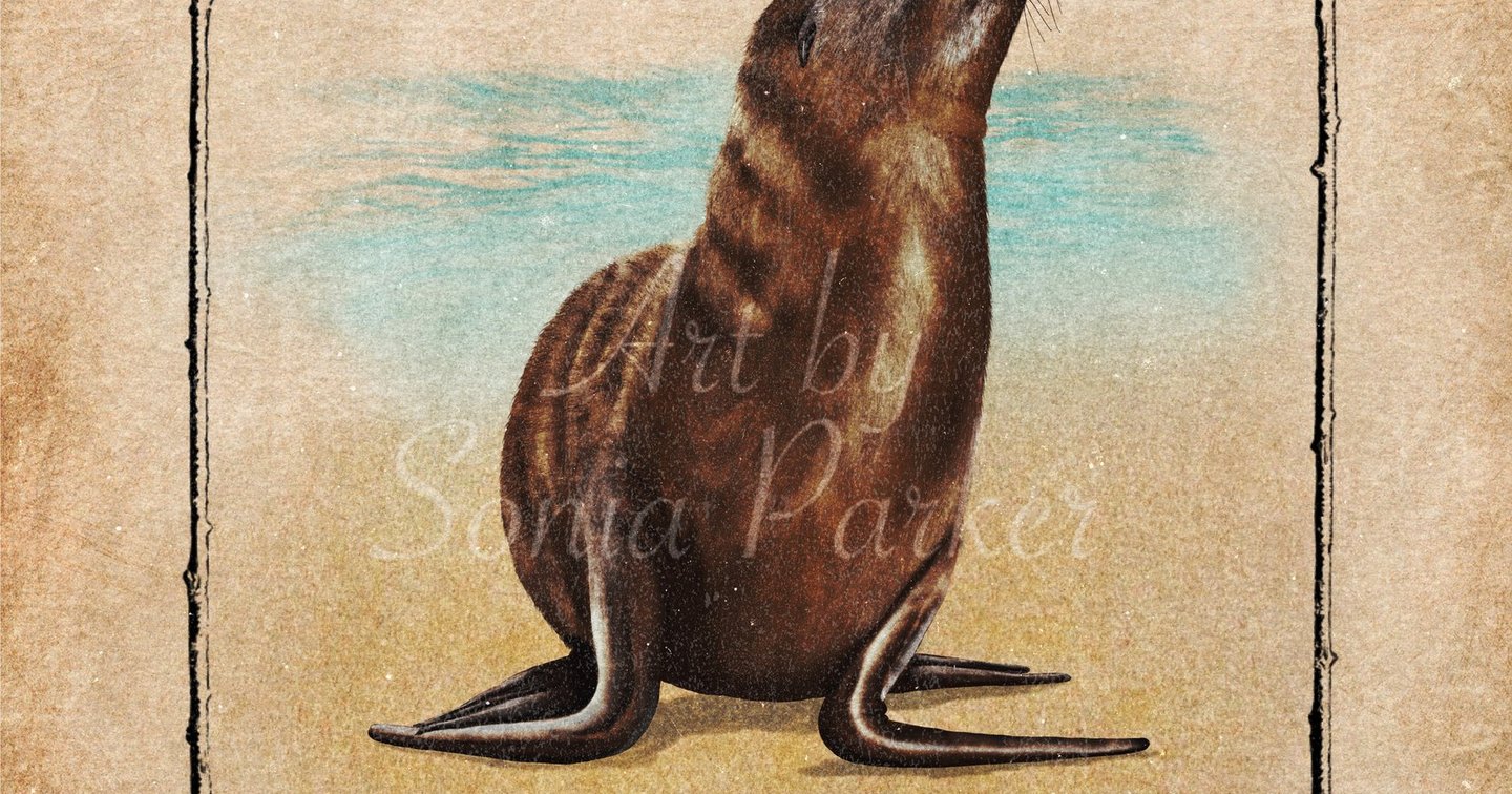 The Spiritual Meaning of the Seal | The Spiritual Centre