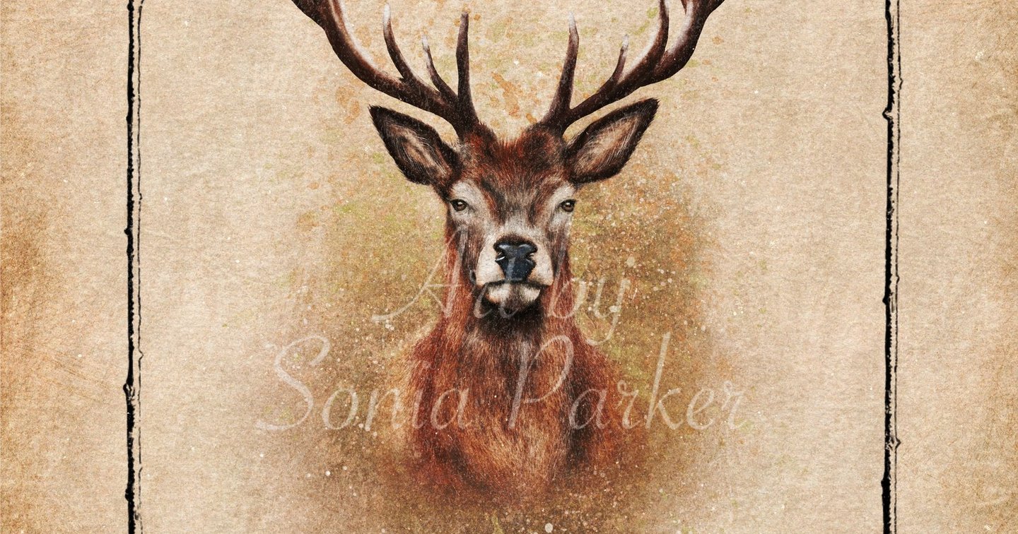 Spiritual Meaning of Stag - Symbolism, Totem Animal & Spirit Guide ...