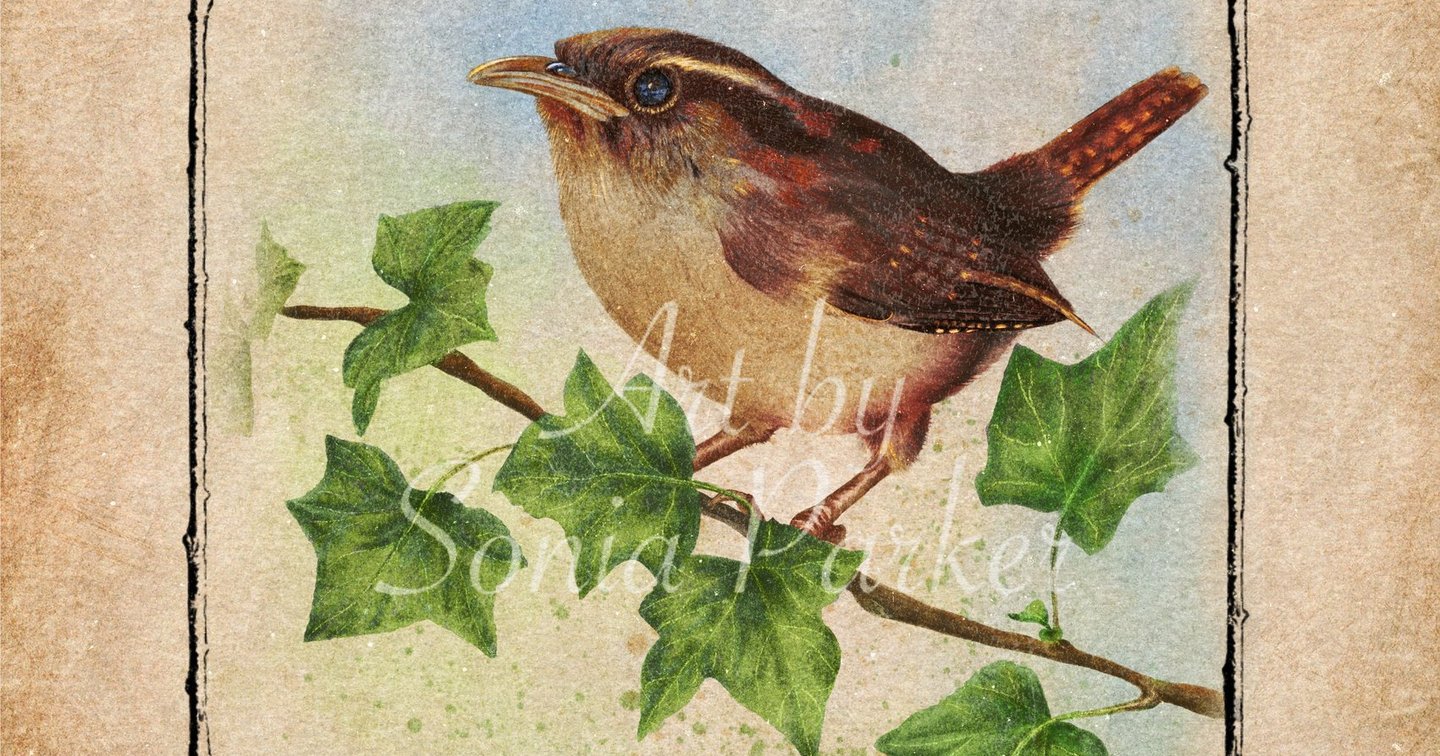 Spiritual Meaning of Wren: Inspirer, Motivator, Companion | The ...