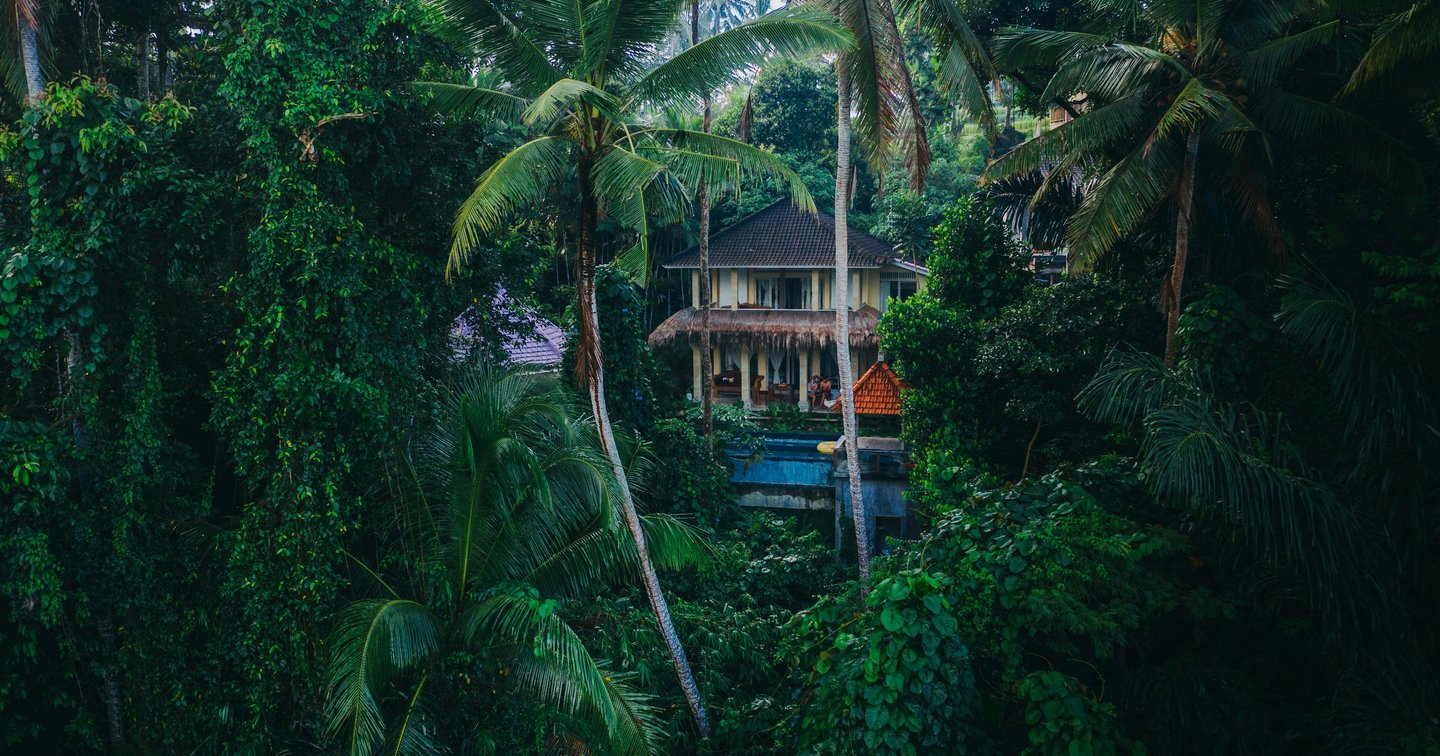 Things to Do in Ubud, Indonesia (Bali): Jungle Bliss, Artful Living ...