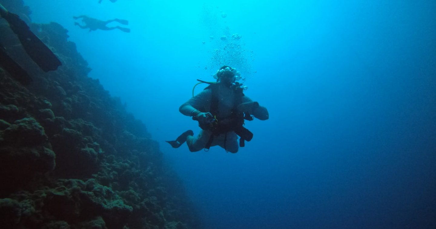 Salty Fins Diving: PADI Instructor & Scuba Diving | Salty Fins Diving ...