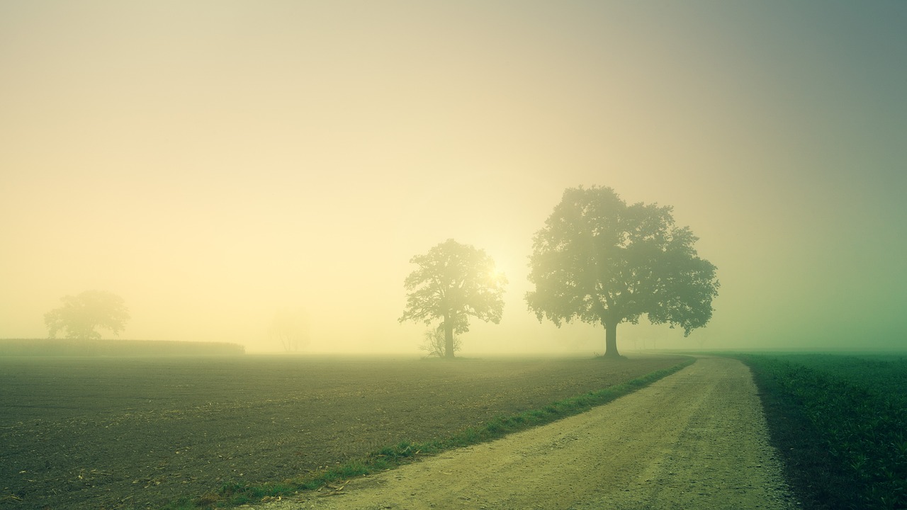 How and Why is Fog Formed? The Science Behind This Mysterious Mist ...
