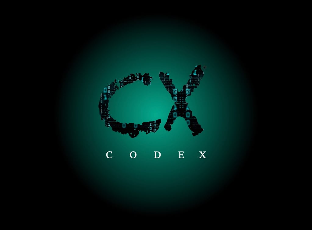 Codex: Global IT Enabled Services for Exceptional Results | Codex