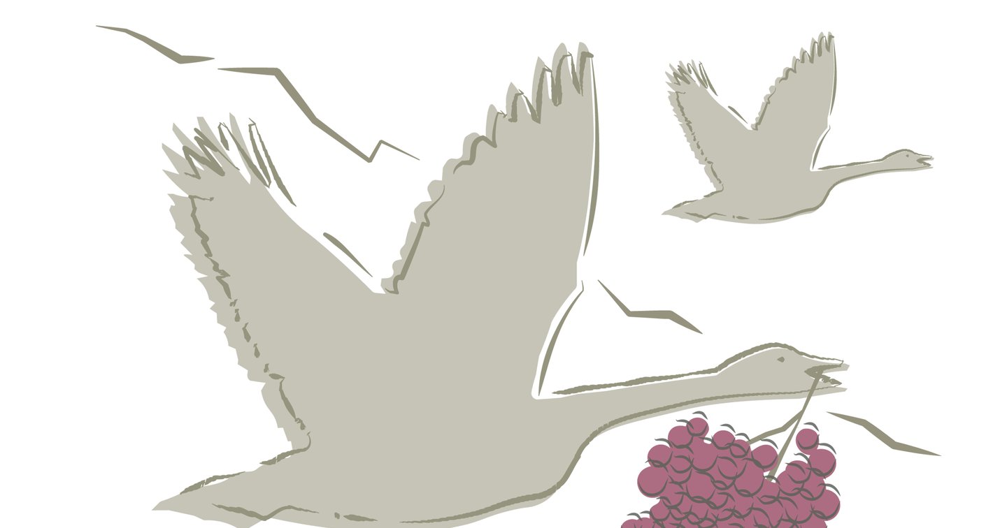 About Us | The Pioneering Spirit of Montana Wine