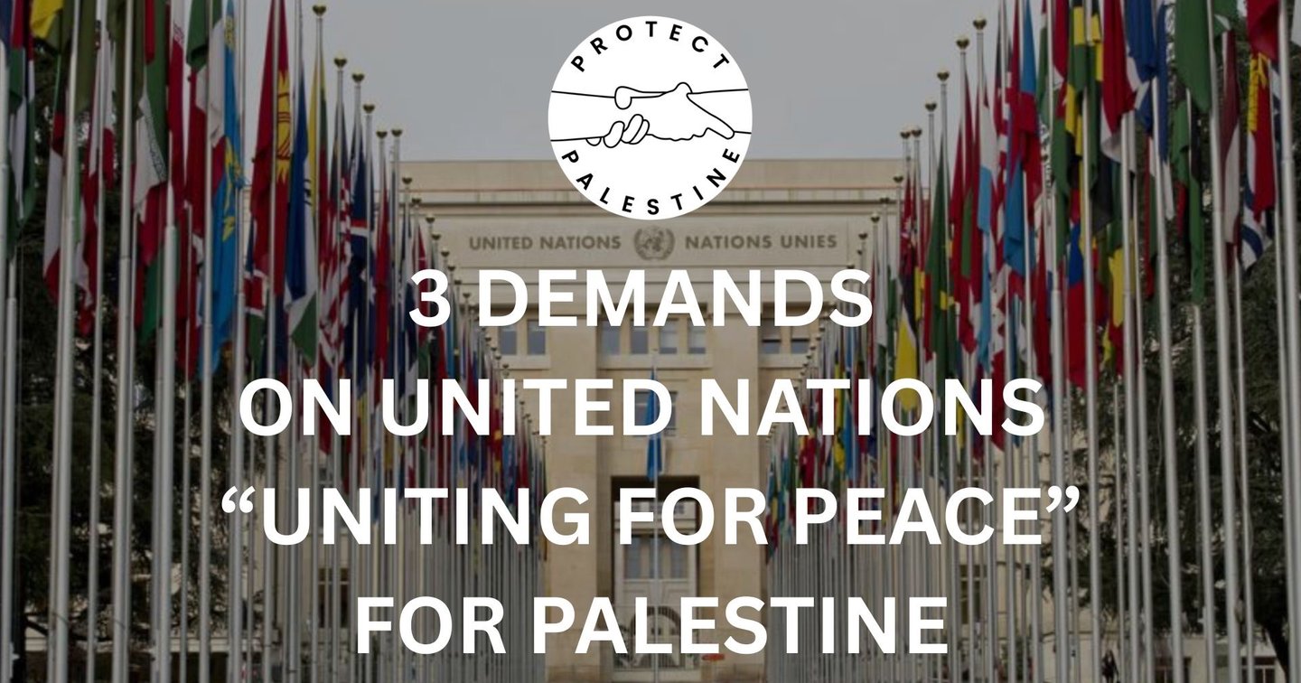 URGENT CALL TO ACTION | Protect Palestine