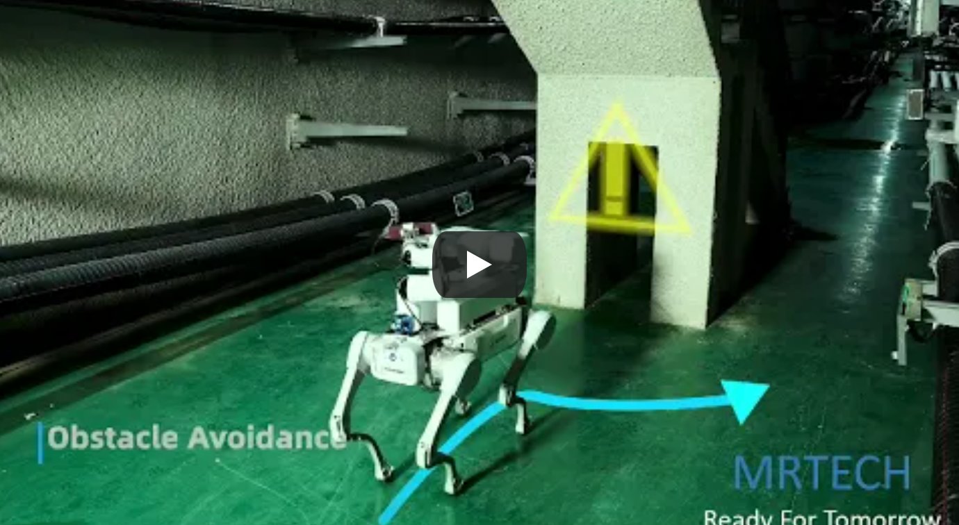 Discover Our Latest Video Use Case: Robotic Dog for Tunnel Inspections ...