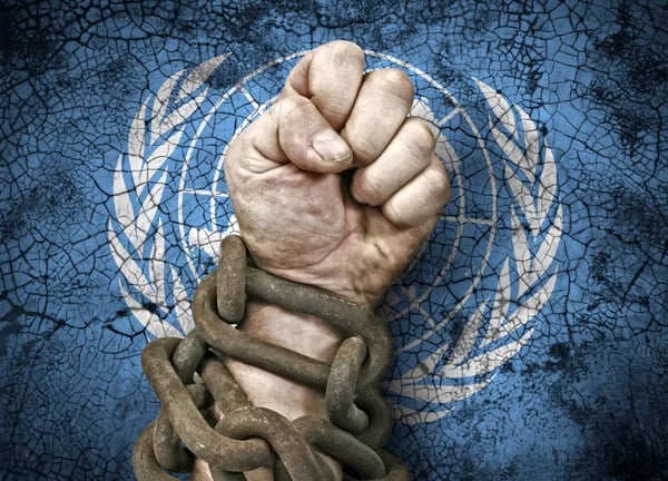 Understanding Globalism: Insights by Theo Belok | TEORIA SOBERANISTA
