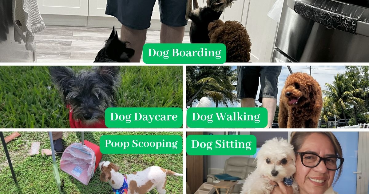 Dog Boarding Port St Lucie