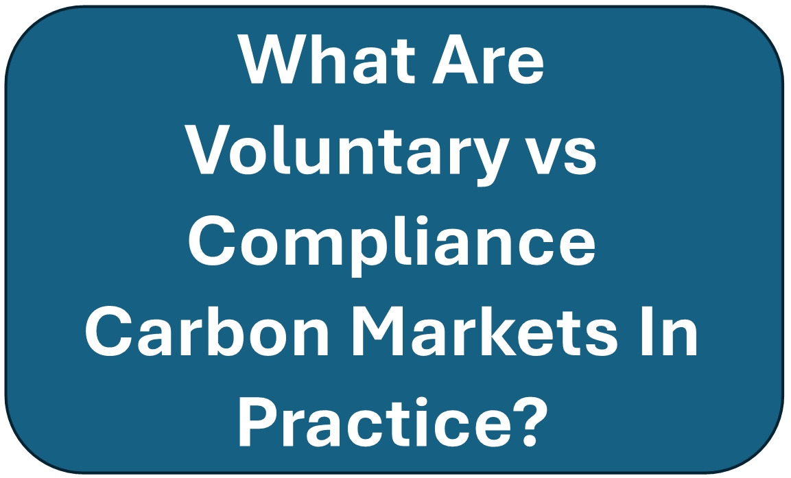 What Are Voluntary vs Compliance Carbon Markets In Practice? | 99pt5