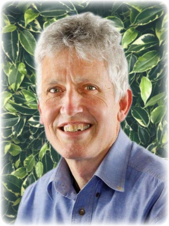 Stuart Brinkworth Psychologist | Ginkgo Healthcare | Ginkgo Healthcare