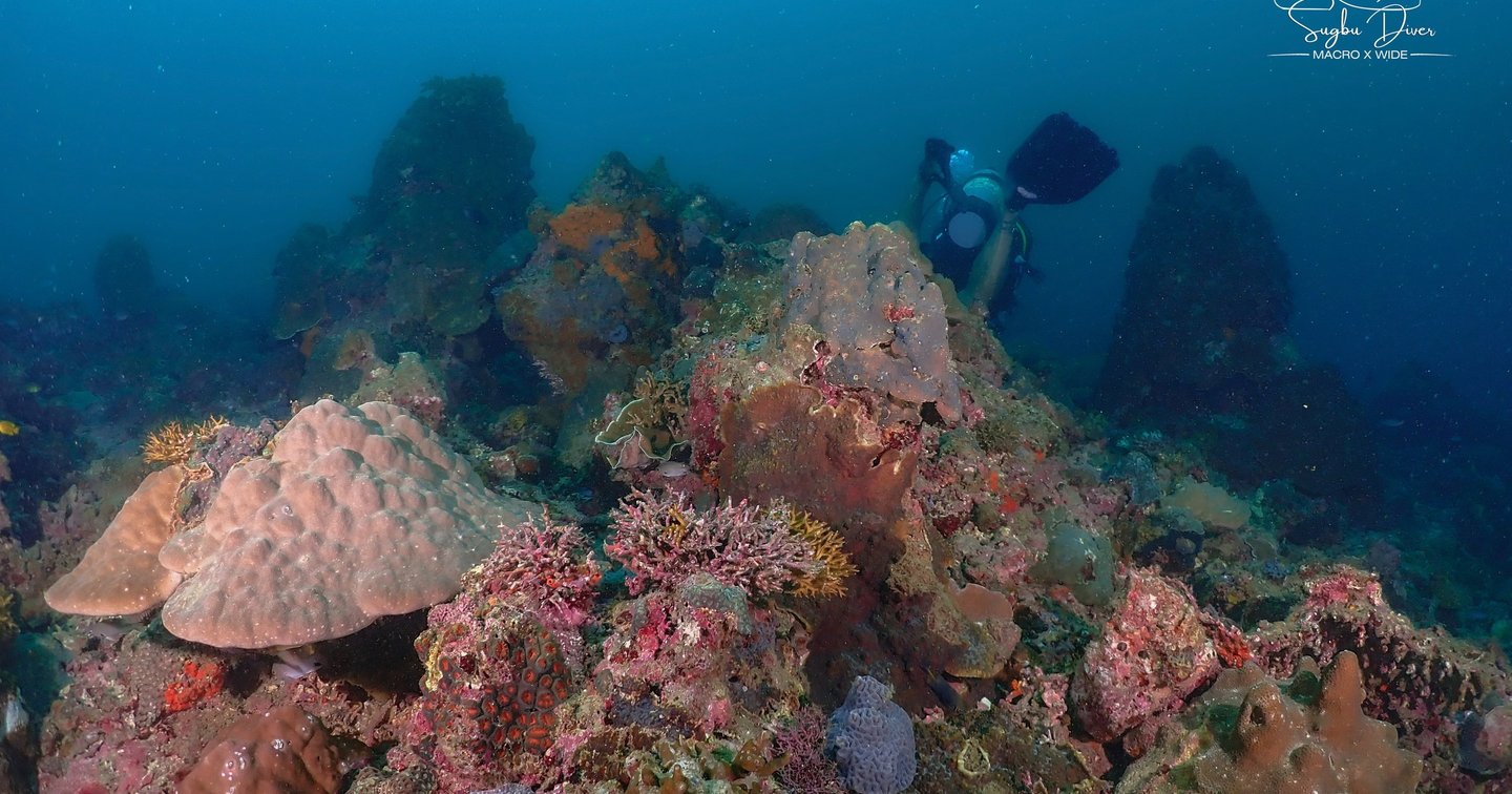 Dive Into Biliran: An Unforgettable Adventure at Tagasipol, Inoroan ...
