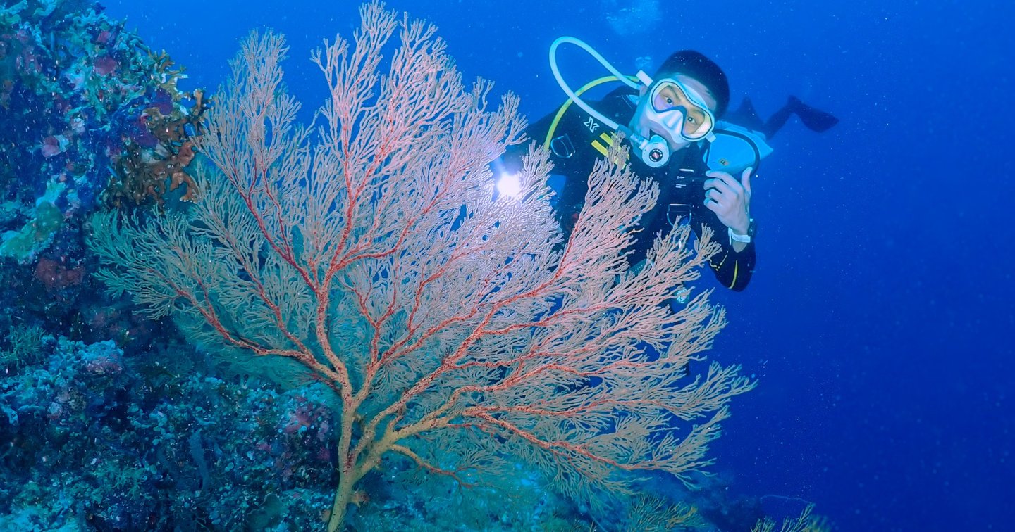 5 Reasons Why We Love Scuba Diving | Sugbu Diver