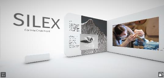 PROJET SILEX Portraits | CORINNE COSTA | SILEX | artiste | Art ...