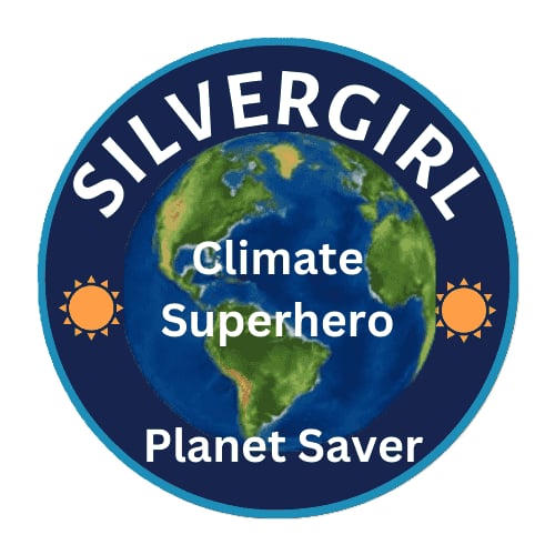Join Silvergirl: Fight Climate Crisis with Art | Silvergirl.org