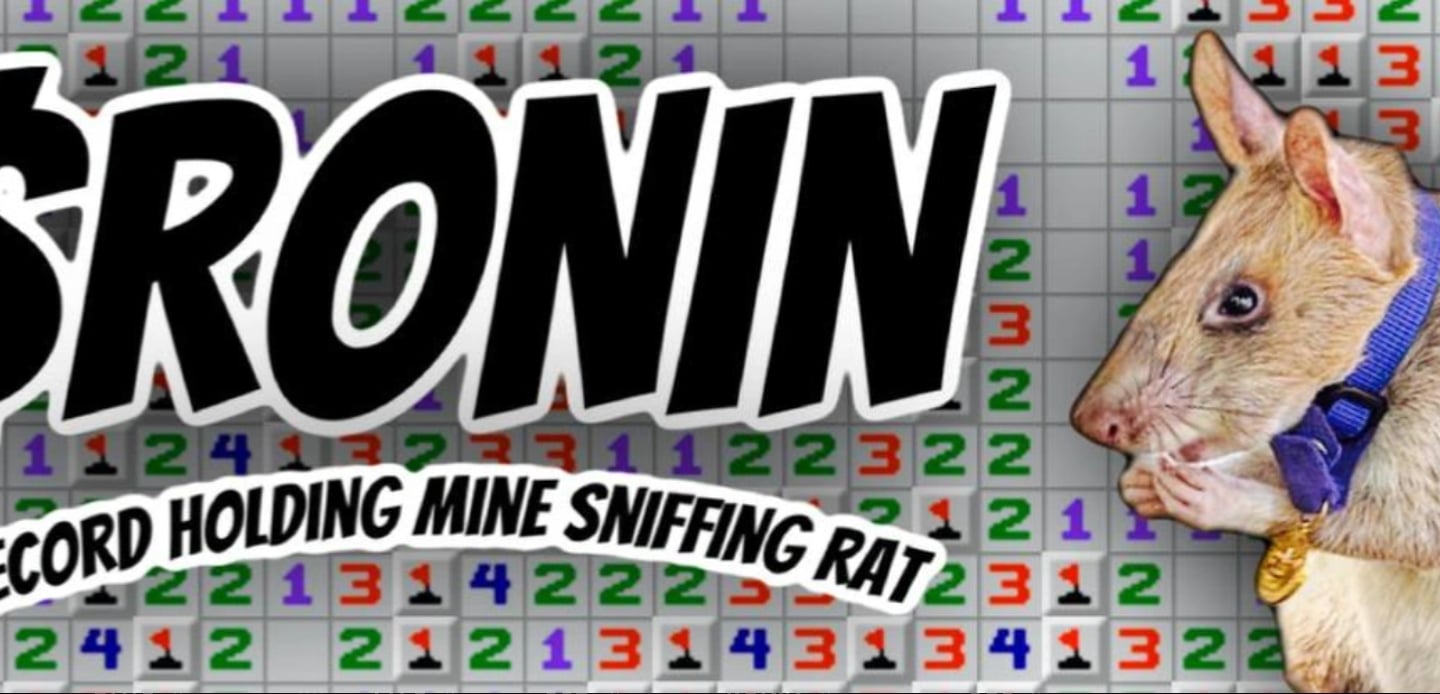 RONIN THE RAT