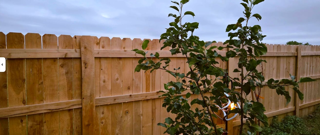 Steel Fencing in Colorado Springs | Strong & Long-Lasting Fences ...