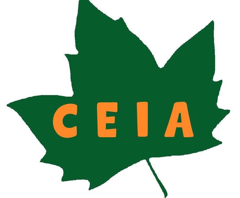 Colegio Ceia: Educación Humanista y Activa en un entorno privilegiado ...