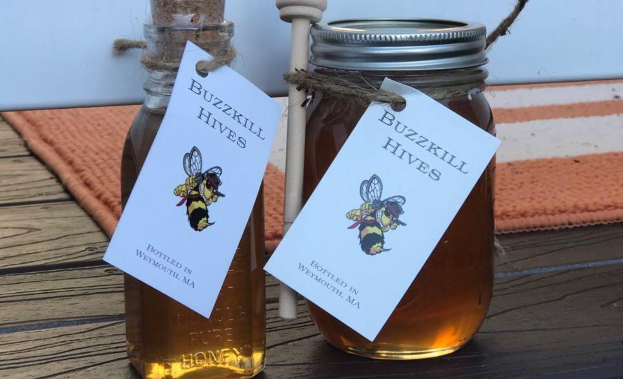 Buzzkill Hives | Local Honey from Weymouth, Massachusetts | Buzzkill ...