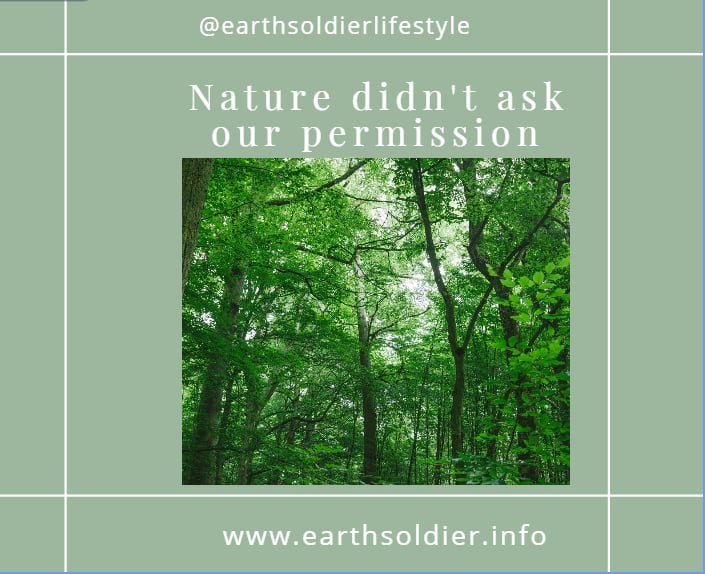 Earth Soldier Lifestyle: Embracing a Plant-Based Lifestyle for Health ...