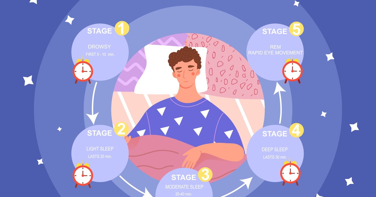 Understanding Sleep Stages: What Light, Deep, and REM Sleep Actually Do ...